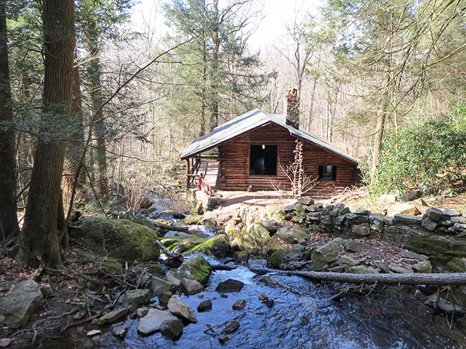This rustic cabin nestled alongside a babbling brook feels like stepping into a Thoreau daydream—minus the required self-reliance and mosquito swatting.