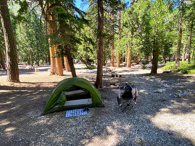 Home sweet temporary home. This campsite among towering pines offers the five-star accommodations of fresh air and starlit ceilings.