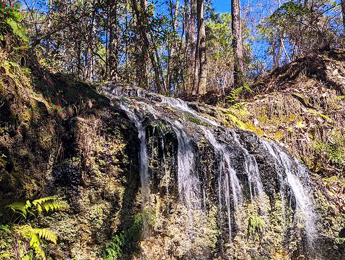 Water dancing over ancient limestone – this gentle cascade might look modest, but it's part of a geological performance that's been running for thousands of years.