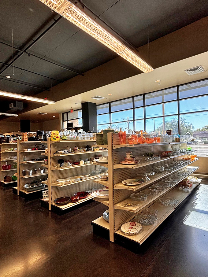 Crystal glasses and ceramic treasures create a sparkling symphony of dining possibilities at incredible prices.