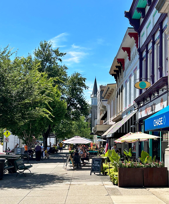 When sidewalk dining feels like a European vacation without the jet lag or passport drama.