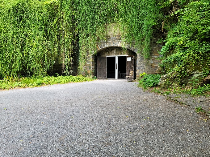 Not your average front door! The vine-draped entrance to Indian Echo Caverns looks like something straight out of a fantasy novel.