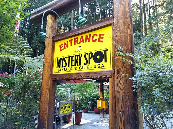This rustic wooden entrance gate promises adventure beyond, like stepping through a wardrobe to Narnia – except with more confusing physics.
