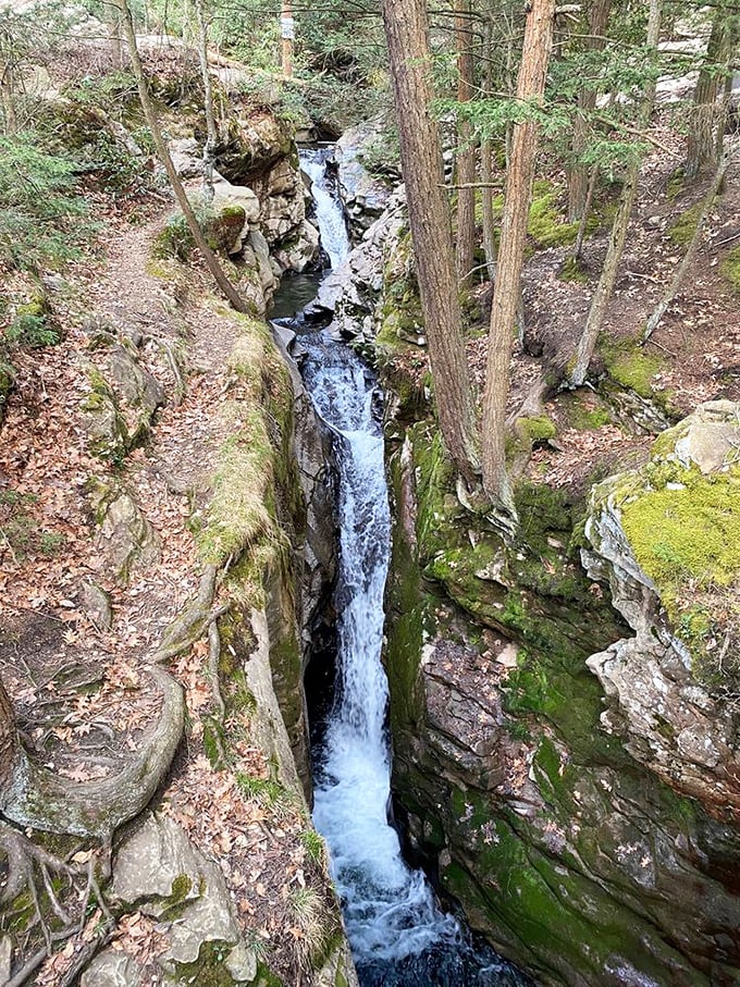 The narrow chute where Wheelbarrow Run squeezes between ancient rock walls, creating nature's own water slide through time.
