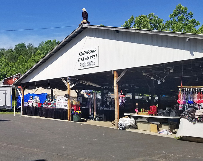 The unassuming headquarters of bargain paradise. That eagle perched on top isn't just decoration—he's scanning for shoppers who forgot to bring cash.