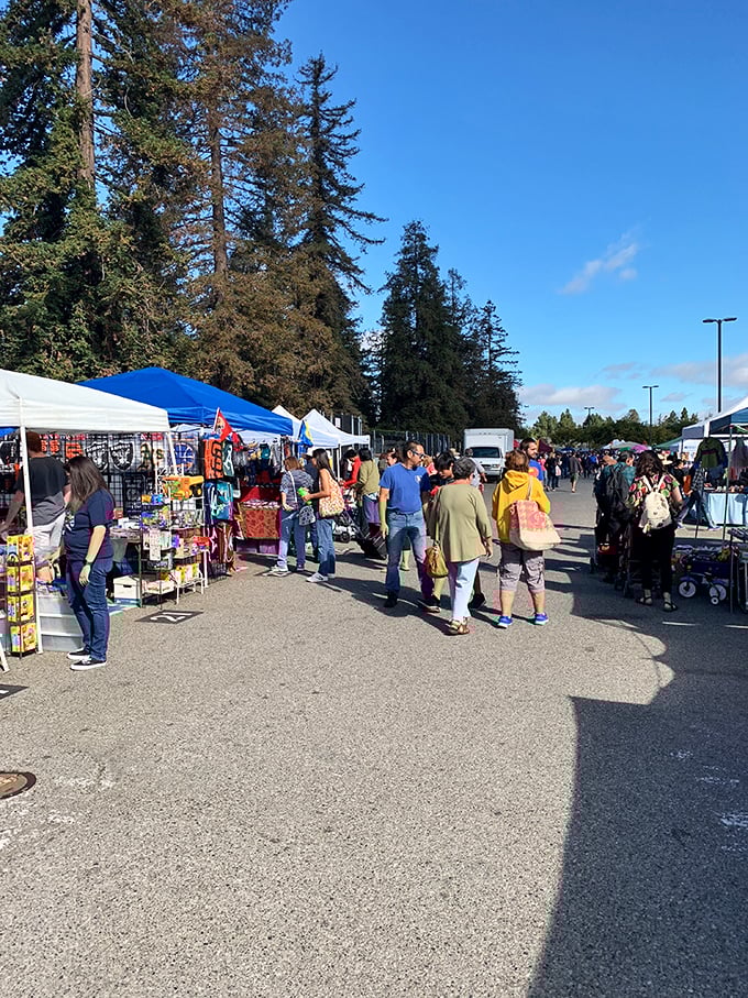 The thrill of the hunt draws shoppers from across the Bay Area. Like a living museum where you can actually touch (and buy) the exhibits!