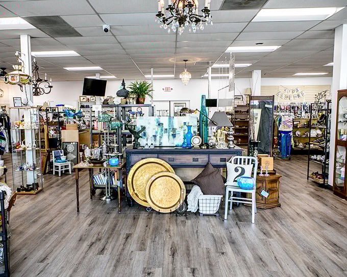 Elegant chandeliers hang above carefully curated displays, proving that "second-hand" and "sophisticated" aren't mutually exclusive terms in this treasure trove.