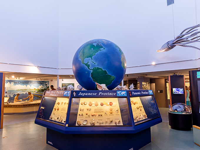 A massive globe anchors the museum's main hall, surrounded by displays that take visitors on a worldwide shell expedition without the jetlag.