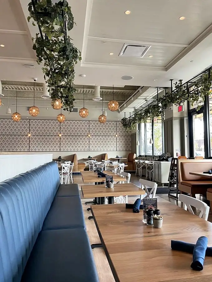 The interior strikes that perfect balance between upscale and approachable with hanging greenery, woven light fixtures, and those inviting blue banquettes that practically whisper, "Stay awhile."