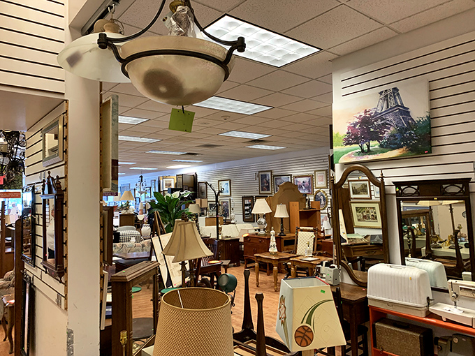 Not your grandmother's thrift store! Elegant lighting fixtures hover above carefully arranged furniture displays, creating the ambiance of an upscale home decor boutique.