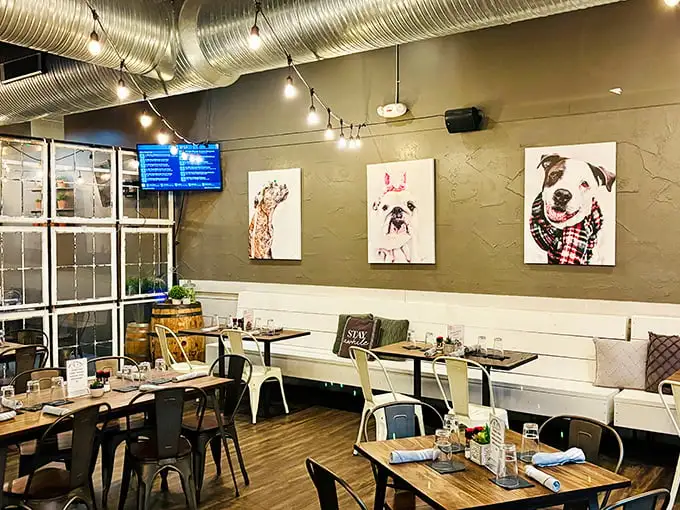 Inside, industrial meets cozy with exposed ductwork, string lights, and those adorable dog portraits watching over diners. It's like your coolest friend's loft apartment, but with better food.
