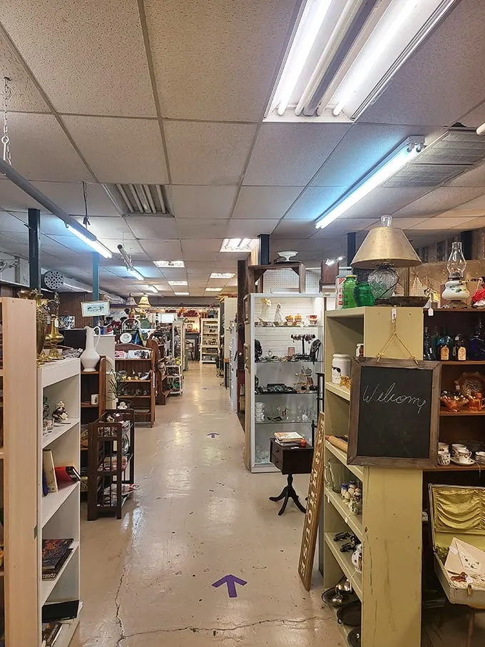 Wandering these aisles feels like exploring your eccentric aunt's attic—if your aunt happened to curate museum-quality collections spanning a century of American life.