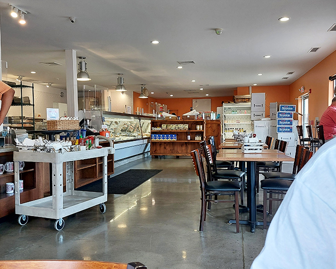Inside, the bright orange accent wall and no-nonsense layout announce the priorities: less time on décor, more focus on what's swimming in that display case.