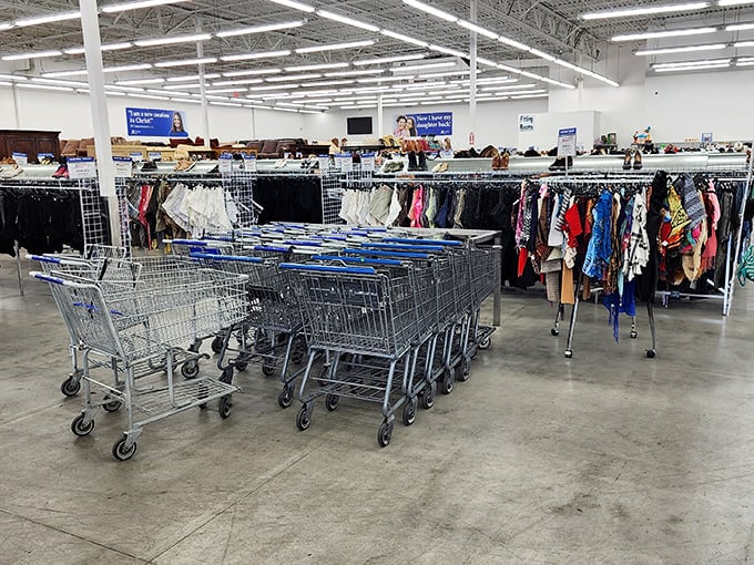 Shopping carts await their destiny as vessels of thrifty triumph. The modern-day equivalent of pirate ships ready to haul treasure.