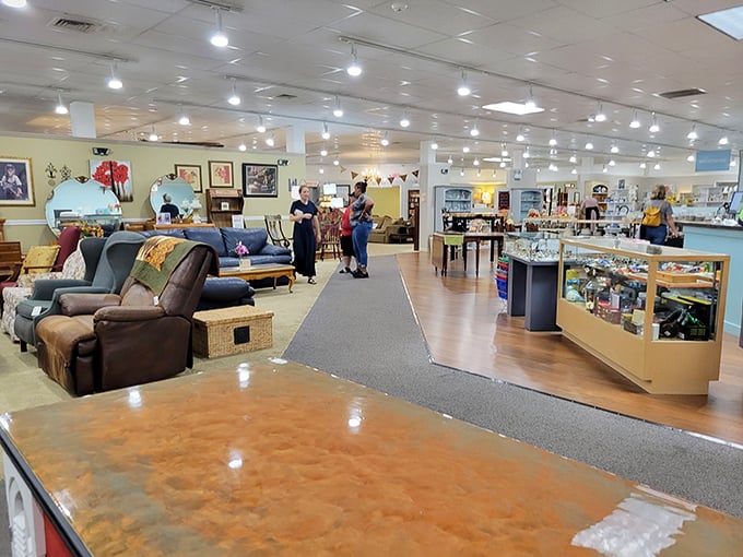Welcome to the furniture showroom, where sofas have stories and every chair has lived a life before yours. Treasure hunting begins here.