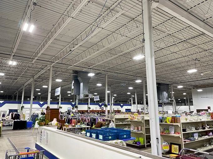 Cavernous ceilings and endless aisles stretch toward the horizon. This isn't just a store—it's an expedition requiring comfortable shoes and an adventurous spirit.