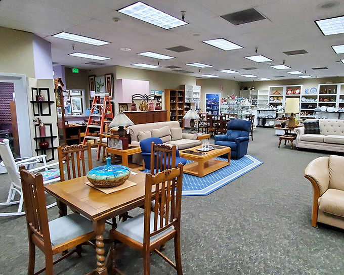 Furniture displays that could be straight out of a high-end showroom. Who knew second-hand could look this first-rate?