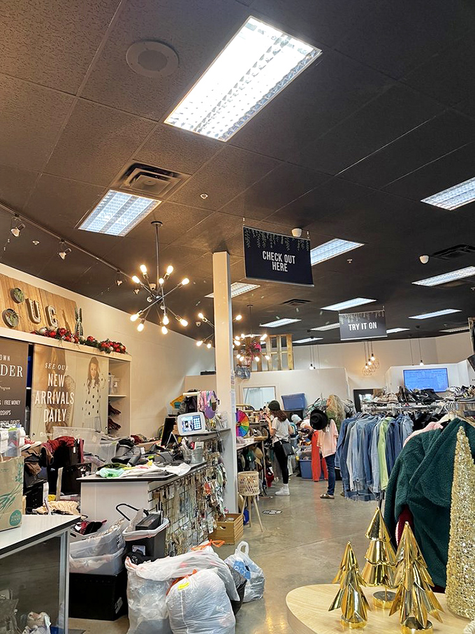 Modern lighting fixtures and organized displays prove this isn't your grandmother's thrift shop – it's where budget-friendly meets Instagram-worthy.