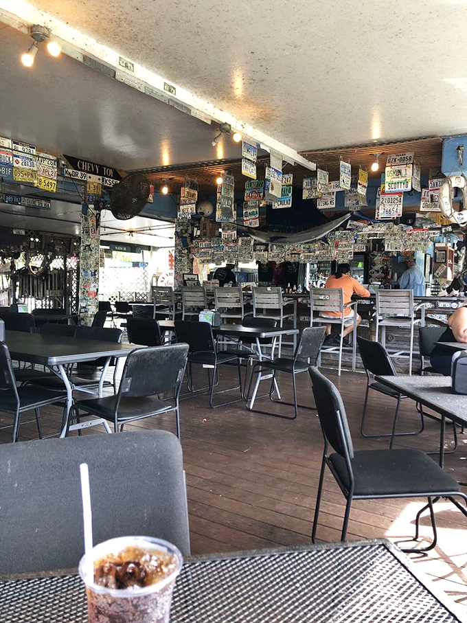 License plates from across America create a ceiling mosaic that tells you this isn't just a meal—it's a nationwide pilgrimage for seafood seekers.