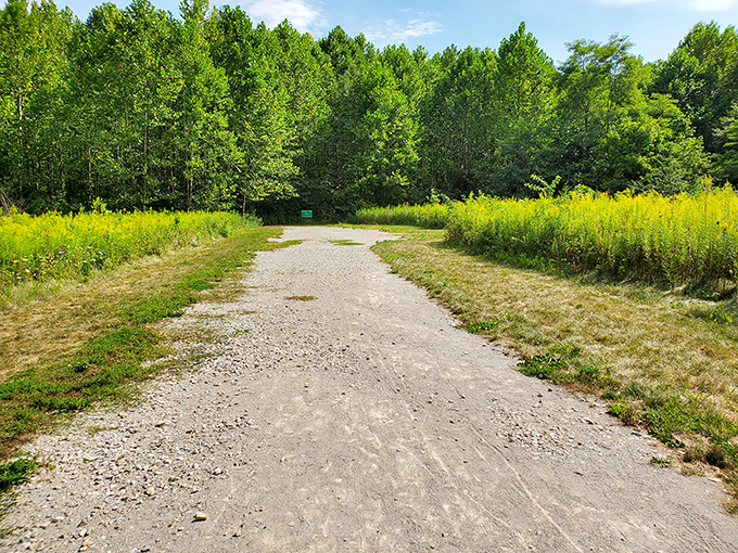 Nature's yellow brick road minus the Wicked Witch. This trail promises adventure through meadows of goldenrod and forests of emerald green.
