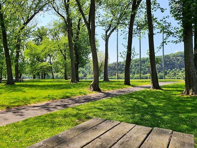 Dappled sunlight plays hide-and-seek along this inviting pathway. Like life's best journeys, it promises adventure without demanding Olympic-level exertion.