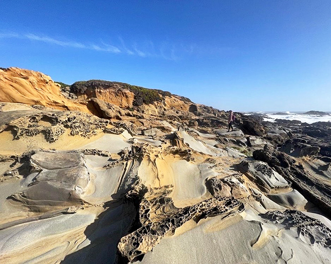 Swiss cheese has nothing on these honeycomb rocks. Nature's sculptors—wind, salt, and time—have created tafoni formations that would make any art gallery jealous.