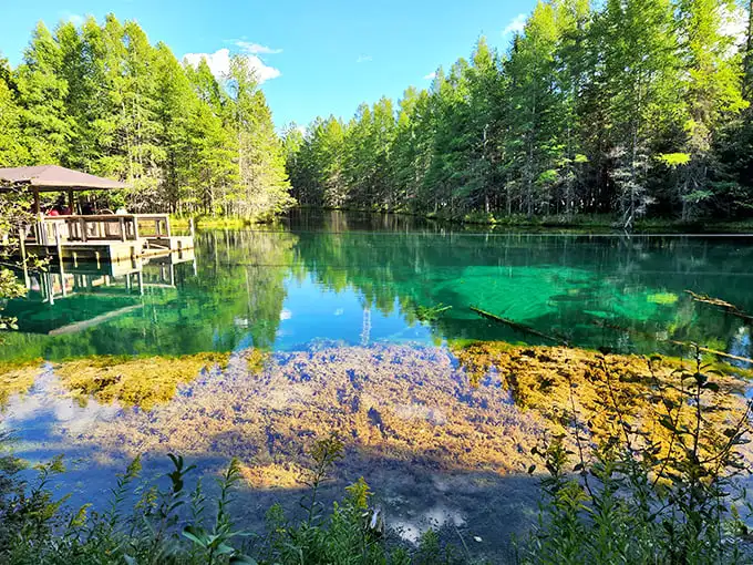 Caribbean waters in the Midwest? The spring's crystal clarity reveals an underwater world of ancient logs and limestone formations. 