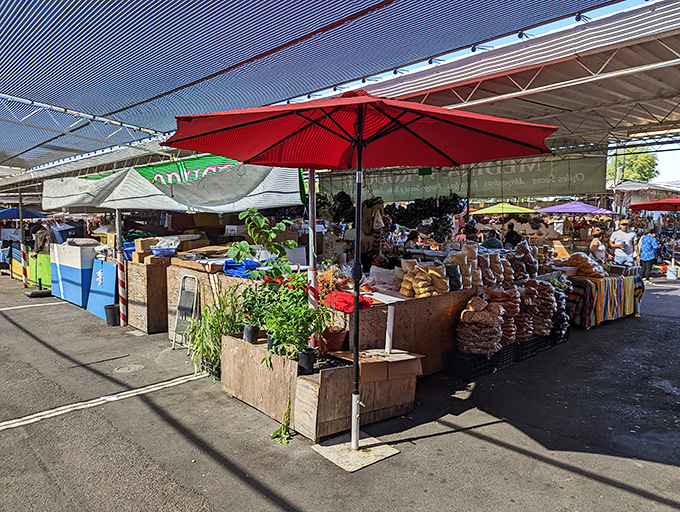 Fresh produce stands create edible art installations under red umbrellas, where California's agricultural bounty meets multicultural culinary traditions.