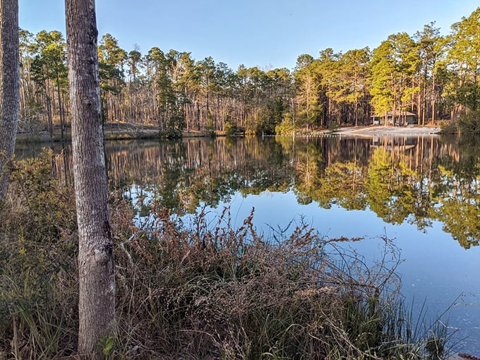 Mirror, mirror on the pond—this glassy lake reflects towering pines like Nature's own Instagram filter, no hashtags required.
