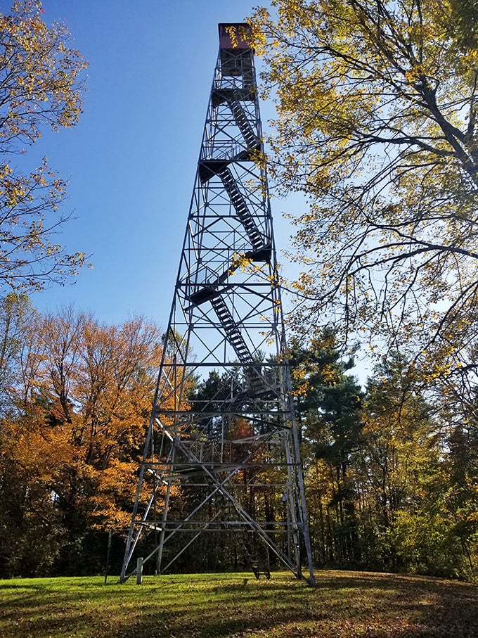 This fire tower stands tall like Ohio's answer to the Eiffel Tower, minus the French attitude and overpriced coffee.