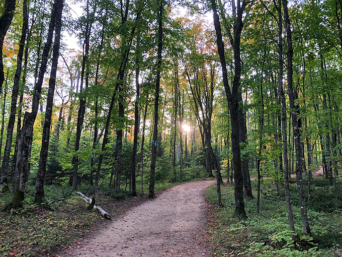 Sunlight filters through the forest canopy, creating a dappled pathway that beckons hikers deeper into Pictured Rocks' emerald embrace.
