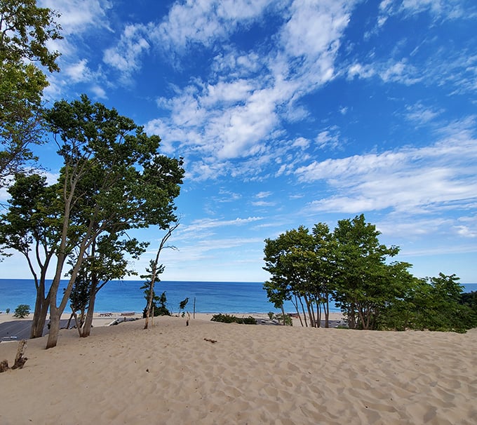 Where the sky meets the sand meets the sea – Warren Dunes offers that rare trifecta of natural beauty that makes you forget you're in Michigan.