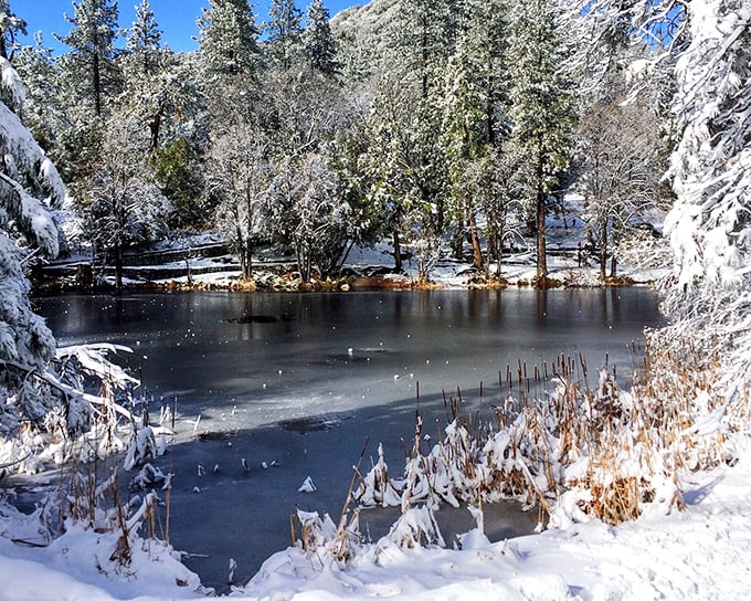 Winter transforms Idyllwild into a snow globe come to life, where frozen ponds become nature's mirrors reflecting the silent beauty of the season.