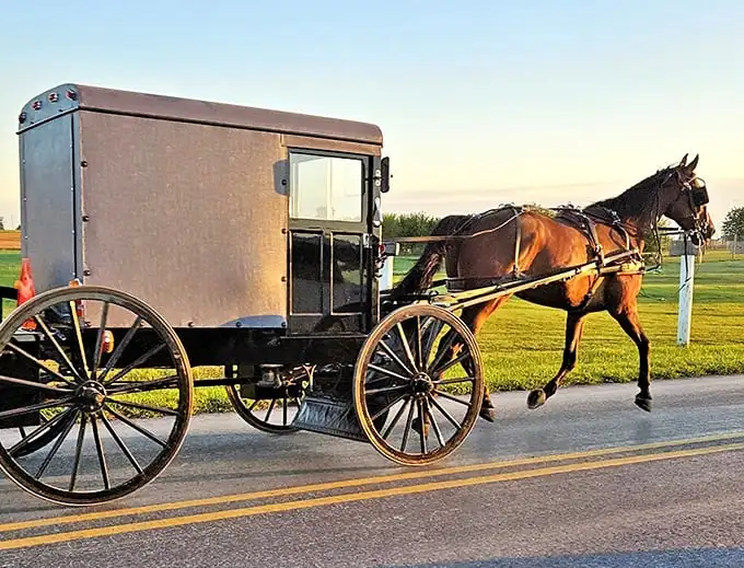The classic Amish buggy – Pennsylvania's original eco-friendly transportation option, no charging station required!