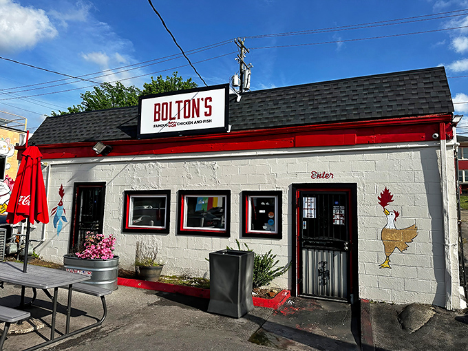 Bolton's unassuming exterior hides flavor bombs within. Like finding a winning lottery ticket in your pocket—small package, big payoff!