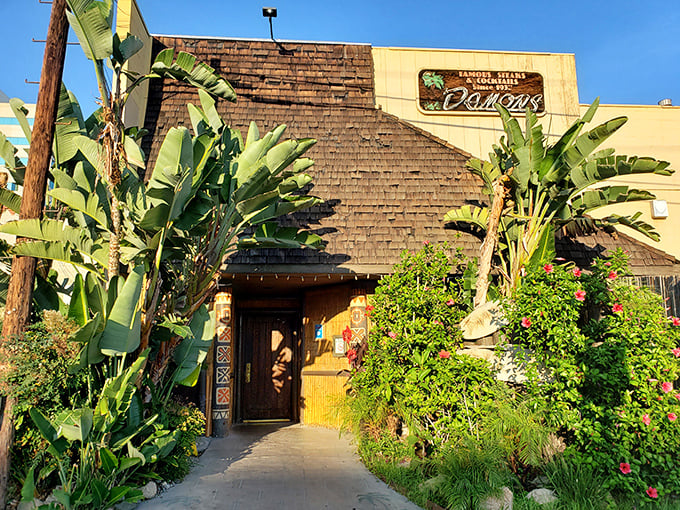 Damon's tropical-meets-steakhouse vibe is a delicious time warp. Those banana plants flanking the entrance hint at the tiki treasures inside.