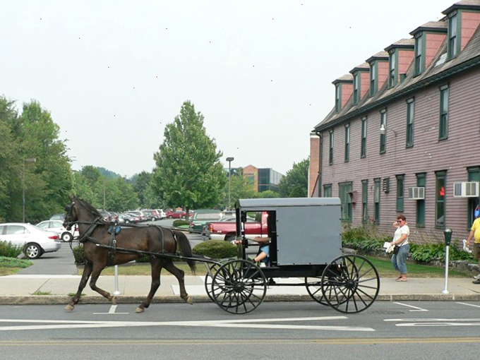 Downtown charm on display! This Amish buggy navigates modern Lititz, where past and present share the same parking spots.