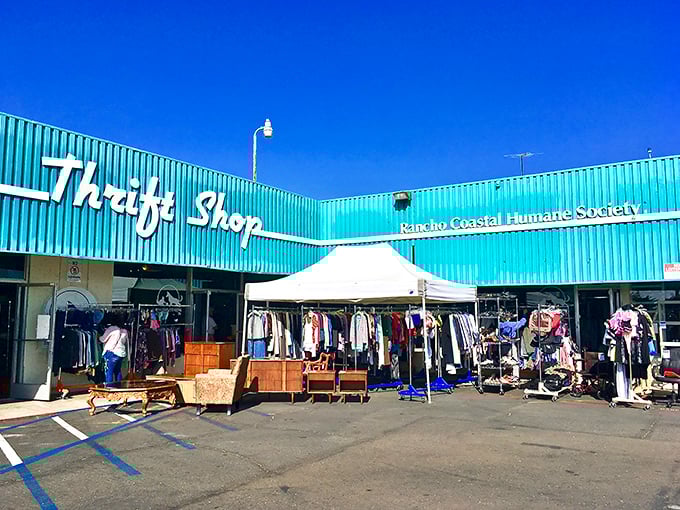 That turquoise building isn't just eye-catching—it's a signal that amazing deals and furry friend support await inside.