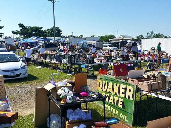 Treasure hunting under the open sky! This outdoor market turns a field into a bargain hunter's paradise.