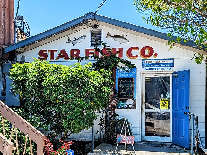 A seafood sanctuary where fish silhouettes guard the entrance to what might be Florida's most honest seafood experience.