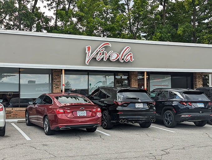 Vivola Express might look unassuming from the outside, but so did Clark Kent – and both are hiding some serious super powers.