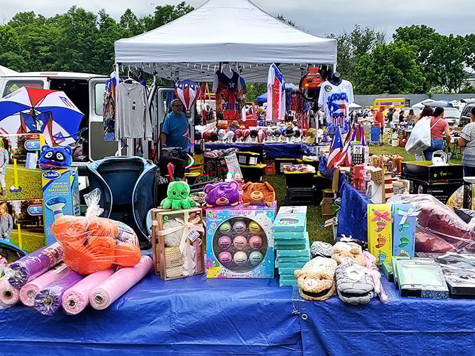 Colorful merchandise spills from tables at Willow Glen, where one person's castoffs become another's prized collection starter.