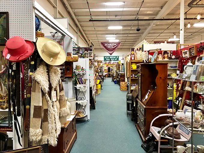 Every aisle promises new adventures in this wonderland of forgotten treasures and stories.