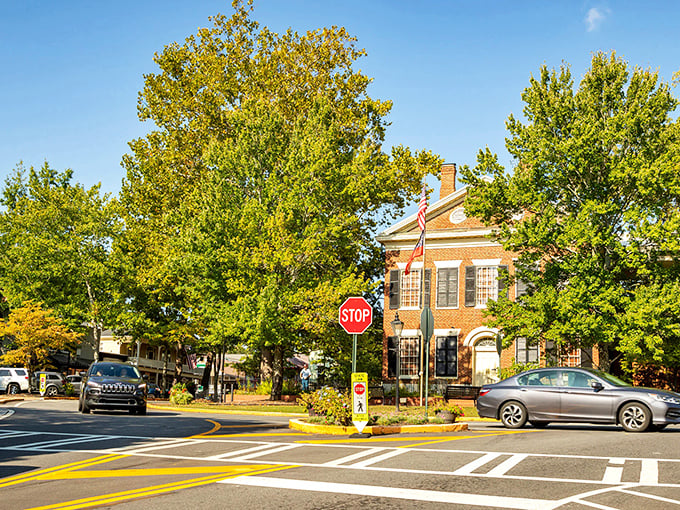 Sunshine bathes Dahlonega's town square, where the gold-domed courthouse reminds us some of Georgia's treasures aren't buried—they're hiding in plain sight.