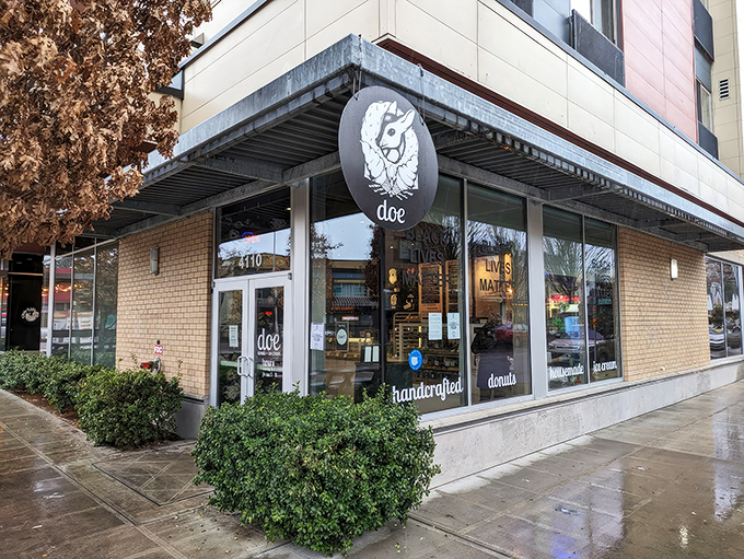 Modern, bright, and inviting – Doe's corner location feels like the cool kid of Portland's donut scene. That rabbit knows what's up.