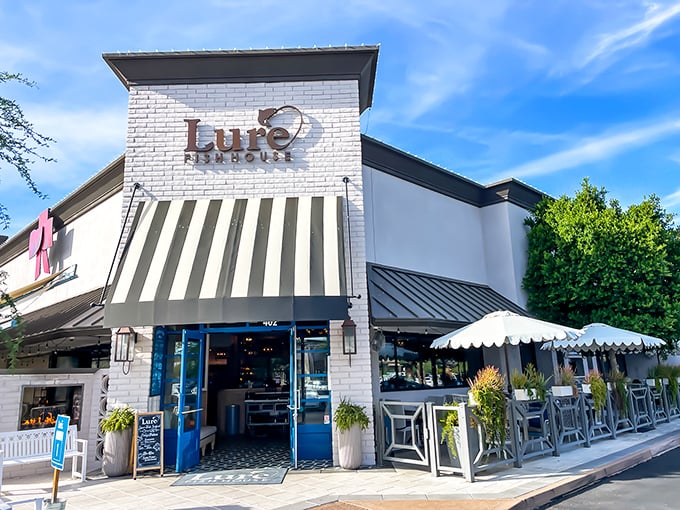 Blue doors beckon seafood lovers into Lure's sanctuary, where ocean treasures await desert dwellers.