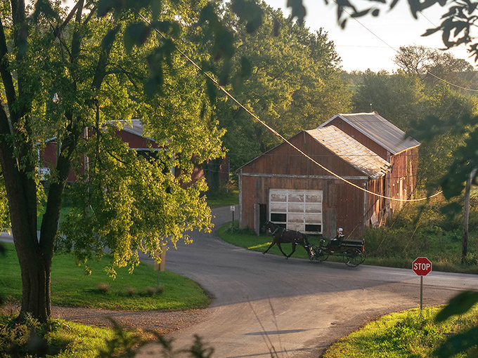 Golden hour light hits these barns just right, proving that simple architecture can be absolutely breathtaking.