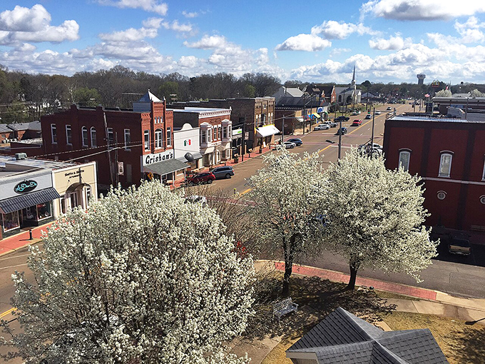 Main Street Savannah blooms with possibility in springtime, where Bradford pear trees create a canopy of white over brick-lined history.