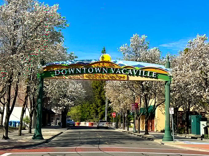 Spring blossoms frame this charming entrance, welcoming retirees to their new favorite walking destination.