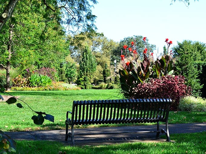 Not just any park bench—this one offers front-row seats to a living art gallery where the exhibits occasionally need haircuts.
